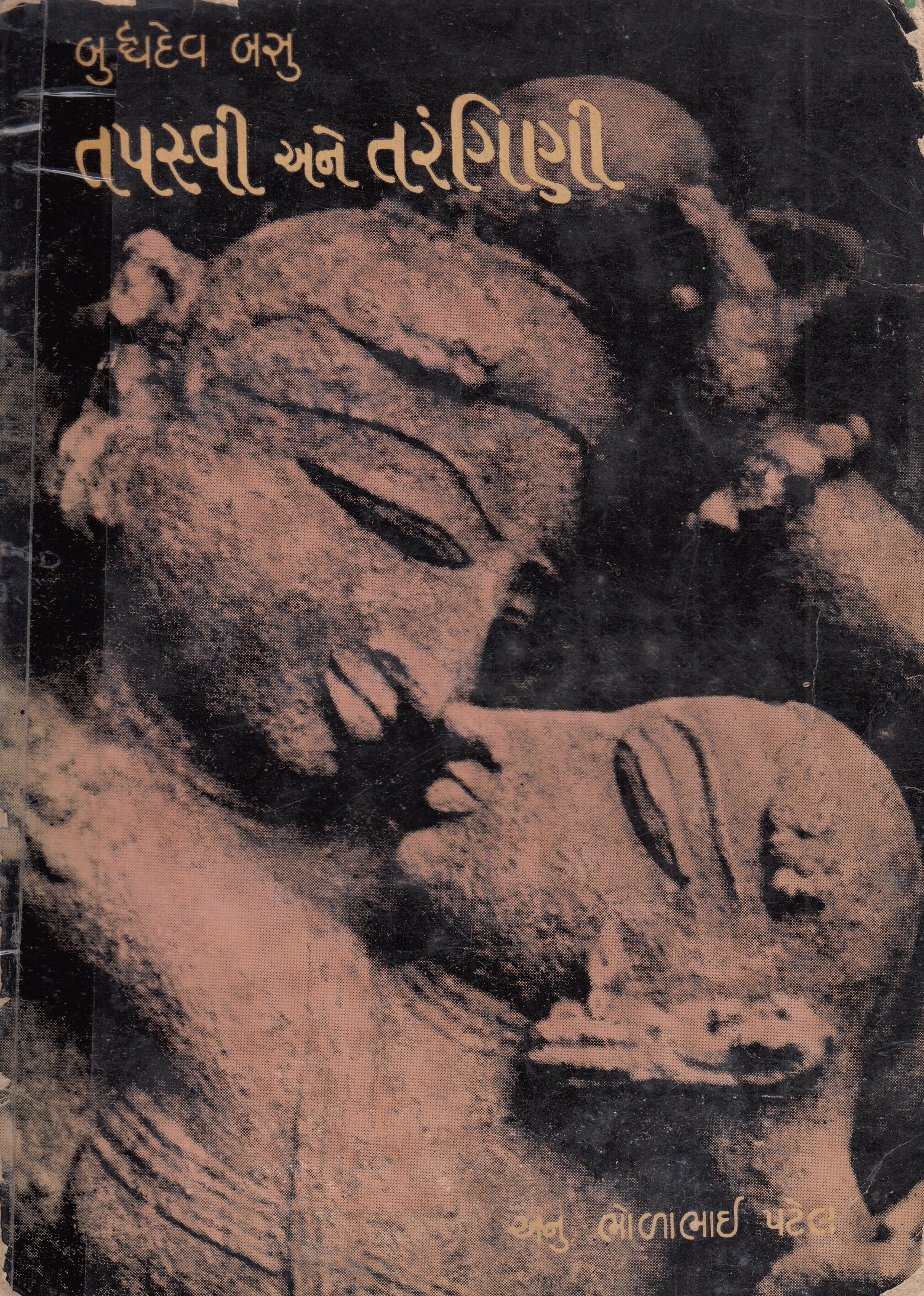 બહુવચન - Ekatra Foundation